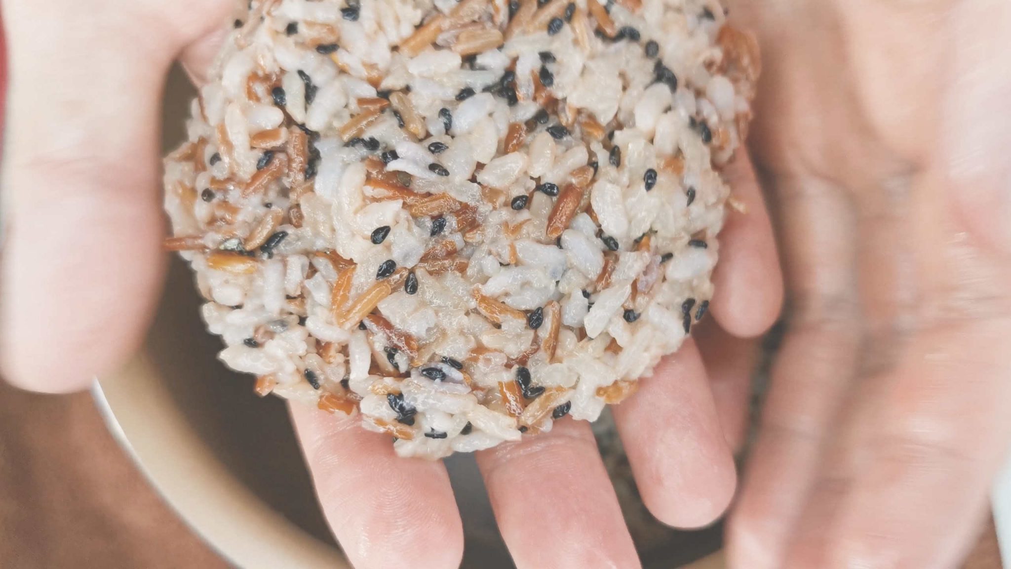 Vegetarian Rice Burger based on Ninja Pills (Hyourougan and Suikatsugan ...